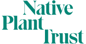 Native Plant Trust Logo – North American Orchid Conservation Center